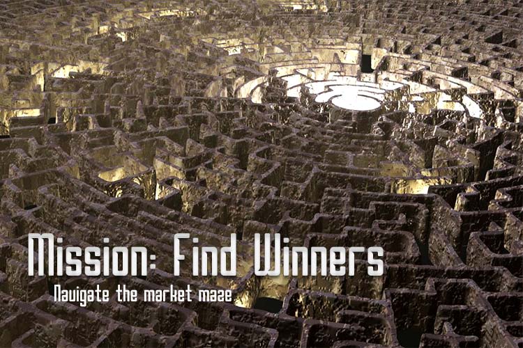 We help you navigate your way through the market maze. - Mission Winners