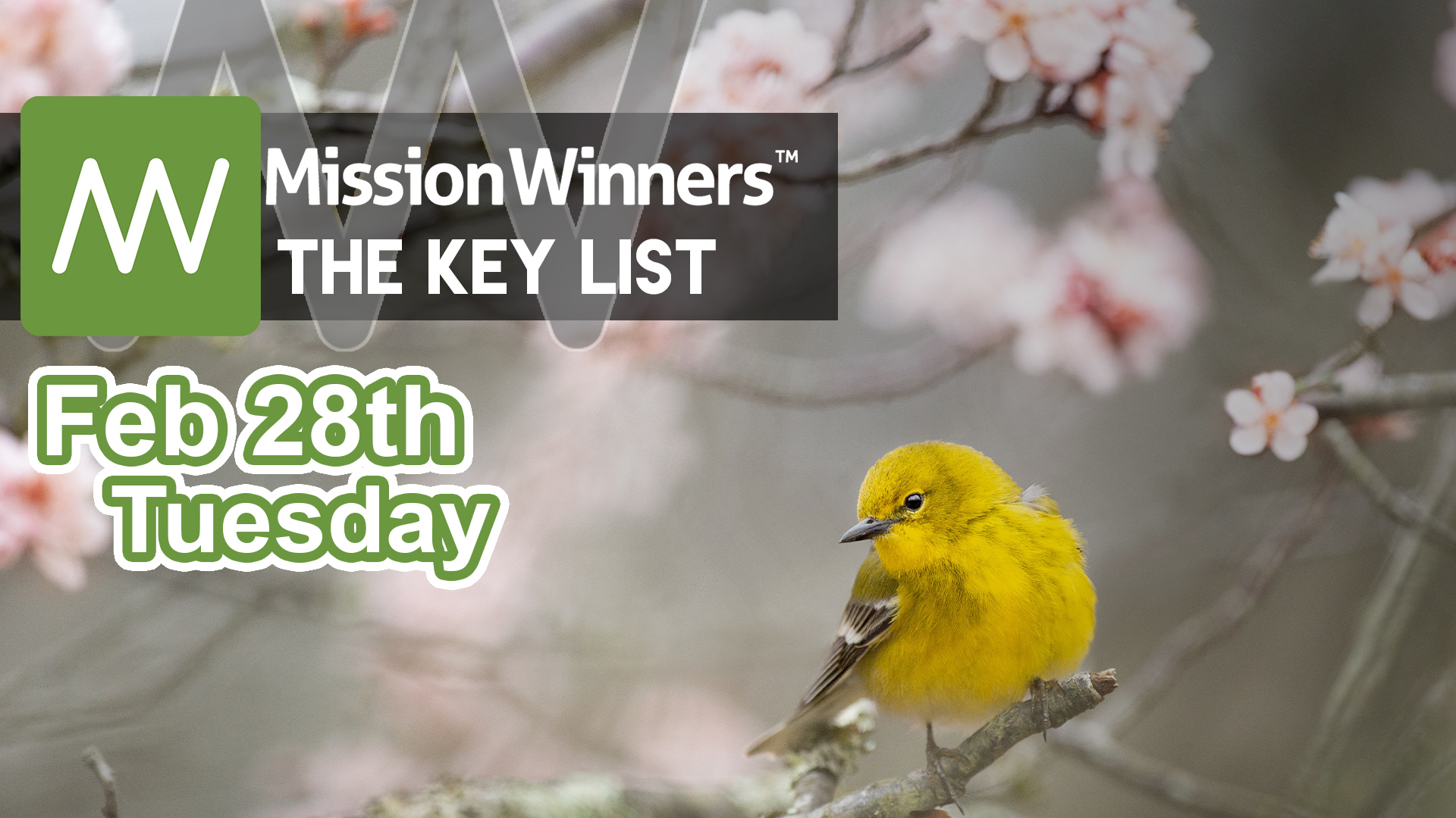Key List Tuesday Feb 28 2023 - Mission Winners