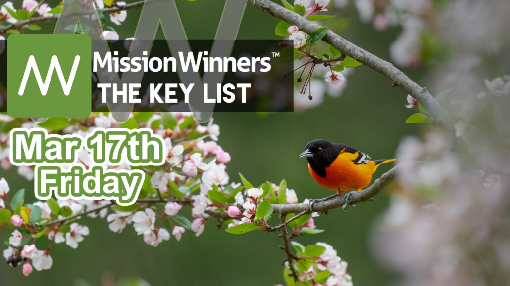 Key List Friday Mar 17 2023 - Mission Winners