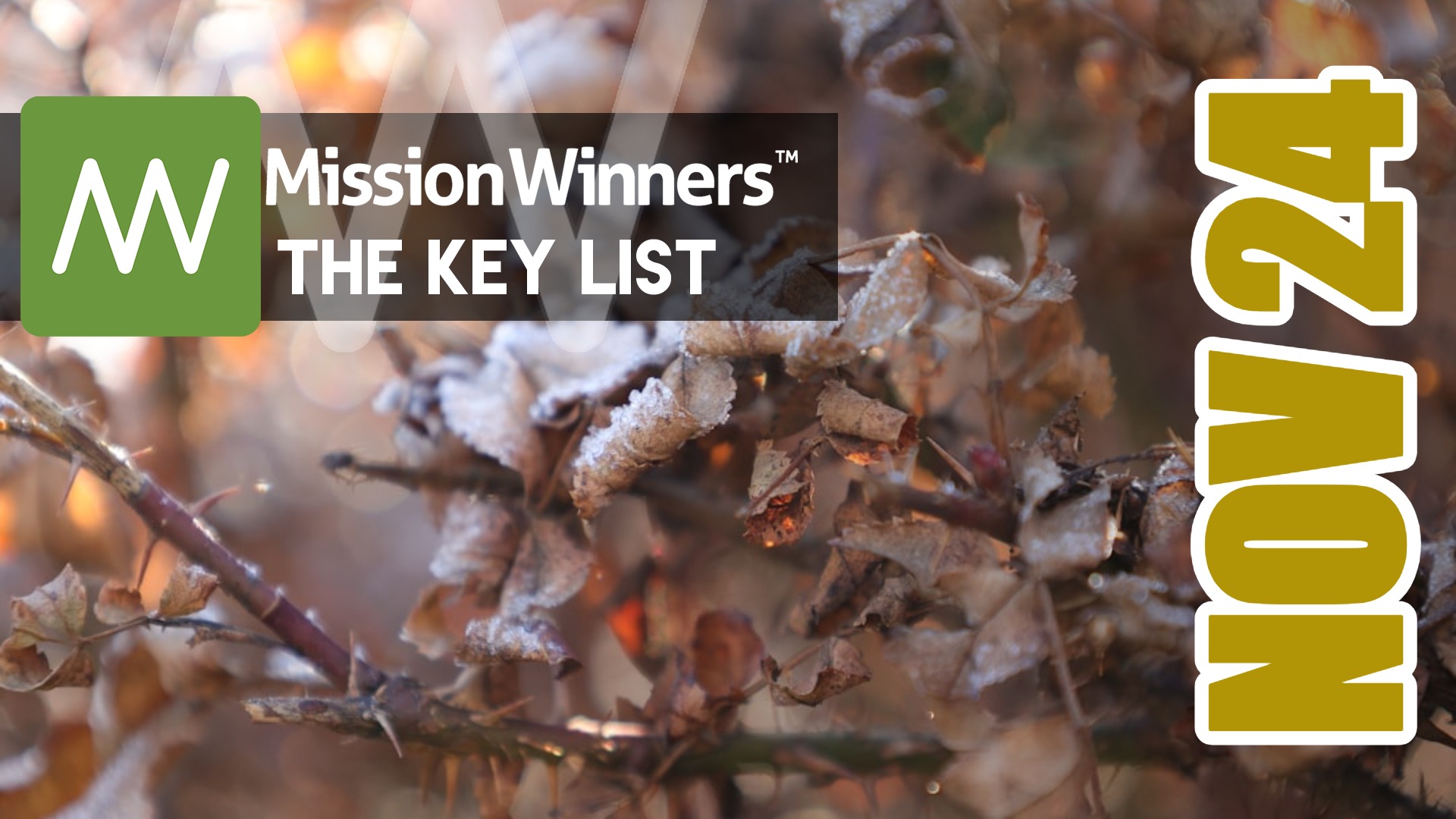 Key List™ Monday Nov 24 2025 - Mission Winners
